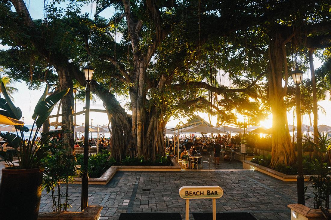 Moana Surfrider Resort Beach Bar Banyan Tree - Zanniee